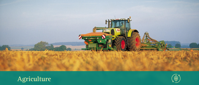 Agriculture – THE DFMF