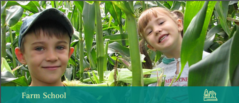 Farm School – THE DFMF